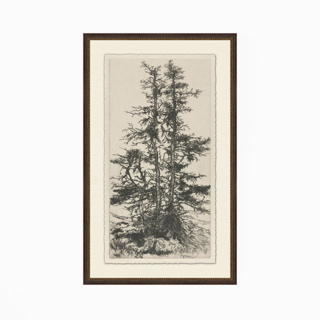 Tree Artwork – Stoffer Home